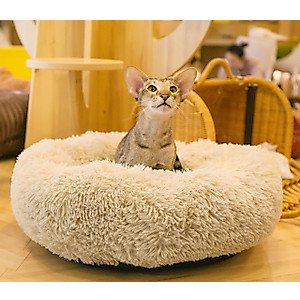 Qucey Calming Cat Beds for Indoor Cats, Anti Anxiety Round Fluffy Plush Faux Fur Cat Bed, Washable 23 inches Small Dog Bed & Cat Bed