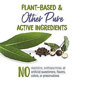 Boiron MotionCalm Relief for Nausea, Vomiting, or Dizziness associated with Motion Sickness Due to Travel, Amusement Rides, and Video Games or VR - Non-Drowsy - 60 Count