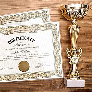 Everest Thermal Laminating Pouches - 8.9 x 11.4 Inches - 5 MIL Thick - 110 Pouches - Letter Size