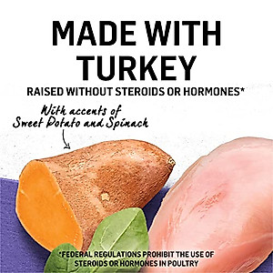 Purina Beyond Cage-Free Turkey, Sweet Potato and Spinach Recipe In Wet Cat Food Gravy - (12) 3 oz. Cans