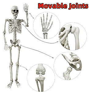 5.4Ft/165cm Halloween Skeleton Full Body Life Size Human Bones with Movable Joints for Indoor Outdoor Halloween Props Decorations