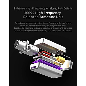 Kinboofi KZ ZSTX in Ear Headphone, 1BA 1DD HiFi Earphone with Hybrid Driver High Fidelity Sound IEM Headset with Detachable Cable (with Microphone, Purple)