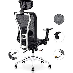 Cedric Office Chair,Breathable Mesh Computer Chair with Ergonomic Adjustable Lumbar Support, Black Swivel Desk Chair with Adjustable Armrest and Headrest, Mesh Seat,BIFMA Certification No 5.1