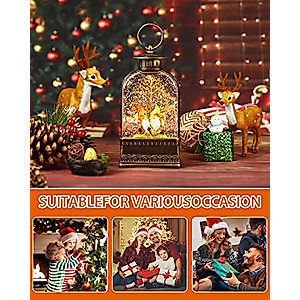 Gnomes Snow Globe, Fall Decoration, Thanksgiving Snow Globe Lantern, Christmas Snow Globe Musical Sparkly Swirling Snow, 3 Settings Batteries or USB Cable, Holiday Decoration (9.9Inch)