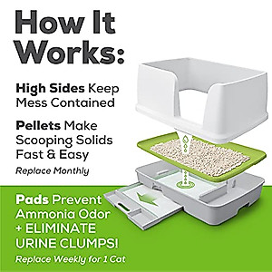 Purina Tidy Cats Non Clumping Litter System, Breeze XL All-in-One Odor Control & Easy Clean Multi Cat Box - 18 lb. Box