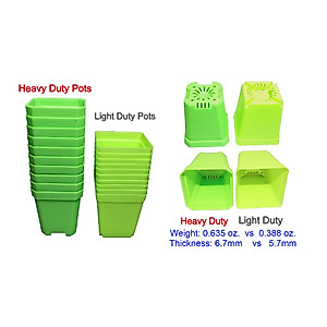 Lil Gnomies Propagator with Humidity Dome Durable Seed Tray Germinating Cutting Clone & Plant Propagation Kit (Propagator+24LitePot)