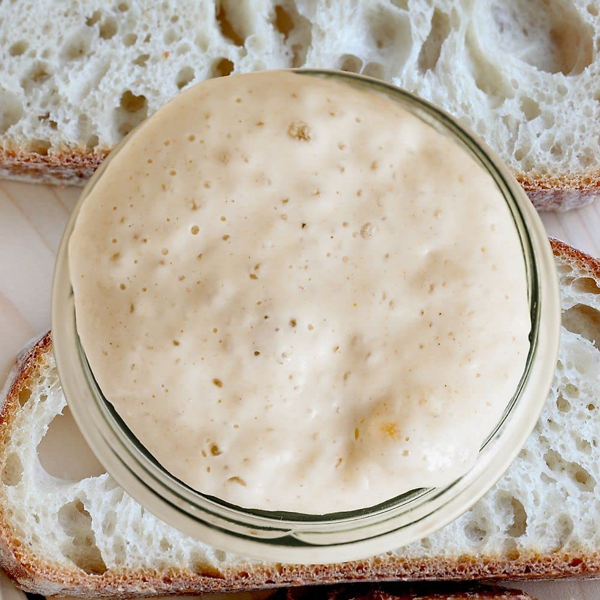 Fresh Sourdough Starter