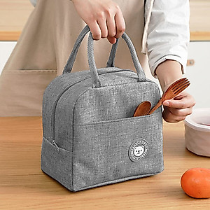 AURUZA Insulated Lunch Bag 2pack,Reusable Meal Prep Lunch Bag for Work,Adult Portable Tote Lunch bags,Waterproof,with small pocket,For work/School/Picnic/Camping/Beach/Park