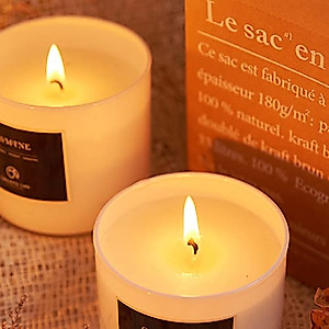 Chloefu LAN Vanilla & Coconut Scented Candle Sets Luxury Soy Jar Candle 7.1oz|45 Hour Long Lasting Burn Highly Scented Valentines Gifts for Men & Women All-Natural Soy Wax Candle 2 Pack