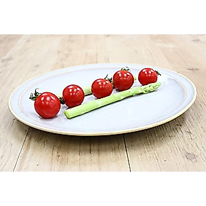 キャッスルエンタープライズ(Castle Enterprise) New Instagram-worthy Plate Series 9.1 inches (23 cm) Pasta & Curry Plate (Aurora White) x 1
