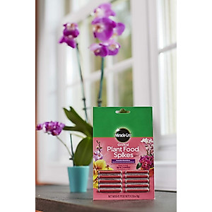 Miracle-Gro Orchid Plant Food Spikes, 2-Pack, 10 Spikes Per Pack