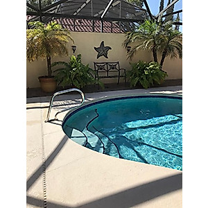 FibroPool Swimming Pool Hand Rail with Easy Mount Base Plate, Rust and Weather Proof Grab Rails for Pools and Spas, Small (Stainless Steel)
