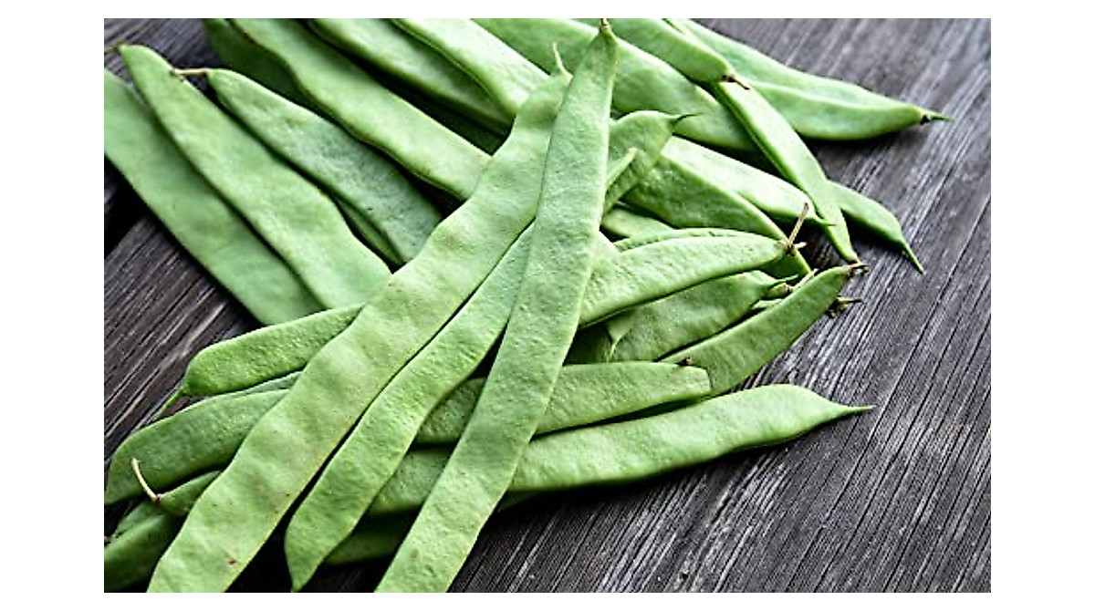 Roma II Bush Bean Seeds - Heirloom & Non-GMO