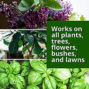 Humboldts Secret Base A & B Bundle – World's Best Base Nutrient System – Liquid Nutrient/Fertilizer for Outdoor & Indoor Plants – Supports Vegetative and Flowering Stages of Plants – Set of Quarts