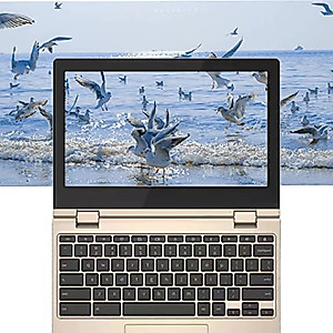 Lenovo Chromebook Flex 3 11.6" HD (1366 x 768) TouchScreen 2-in-1 Laptop, Intel Celeron N4020, 4GB DDR4, 64GB eMMC, Webcam, WiFi, Bluetooth, MicroSD Card Reader, Chrome Os, GCube 64GB Micro SD Card