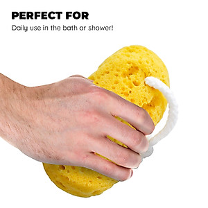 Jacent Deep Cleaning Sea Foam Bath and Body Sponge, 1-Pack, Sponge for Bathing, Scrubbing Sponge, Bathing Sponge, Exfoliating Sponge, Body Sponge for Adults, Teens, and Children