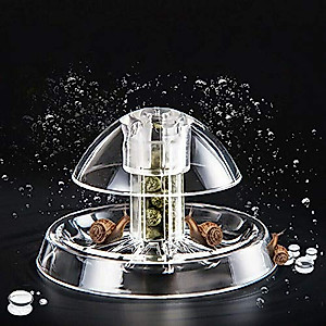 Snail Catcher, Snail Trap Catcher Plastic Leech Planarian Pest Catch Box for Aquarium Fish Plant Tank(3 PCS/3.15inch)