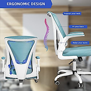 MUZII Ergonomic Office Chair, Computer Desk Chair Swivel Task Chair with Flip-up Arms and Adjustable Lumbar Support, Blue