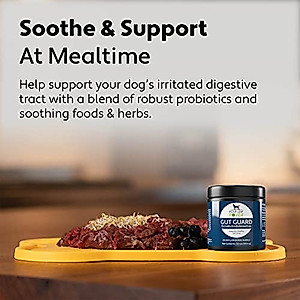 Four Leaf Rover: Gut Guard - Dog Probiotics, Prebiotics and Organic Herbs for Gut Health and Immune Support - 15 to 60 Day Supply, Depending on Dog’s Weight - Vet Formulated