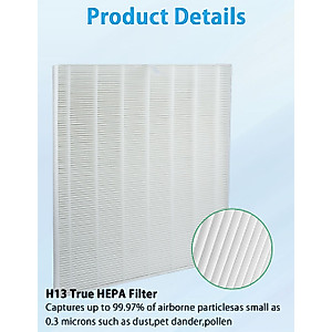 BBT BAMBOOST D480 True HEPA Replacement Filter D4 Compatible with Winix D480 Air Purifier, 1 True HEPA and 2 Activated Carbon Filters, Item Number 1712-0100-00