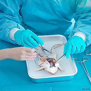 DEXSUR Dissection Kit for Biology Lab & Anatomy - Stainless Steel Scalpel Knife Set for Medical & Veterinary Students, KIT1019-7 Pcs