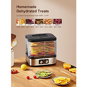 Reemix Electric 8 Trays Food Dehydrator Machine, 400W Jerky Dryer with Temperature Control 95-176℉, Electric Food Preserver for Fruits, Veggies, Meats & Dog Treats