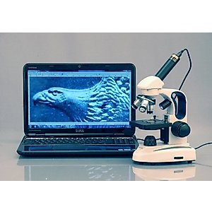AmScope M158B-2L Cordless Compound Monocular Microscope, WF10x and WF20x Eyepieces, 40x-800x Magnification, Upper and Lower LED Illumination with Rheostat, Brightfield, Single-Lens Condenser, Coaxial Coarse and Fine Focus, Plain Stage, 110V or Battery-Pow
