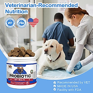 ColEaze Probiotics for Dogs, Organic Pumpkin with 6 Digestive Enzymes, Providing Probiotics for Gut Flora, Digestive Health, Occasional Diarrhea, 120 Count Chicken Flavor