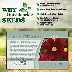 Outsidepride Cosmos Bipannutus Sonata Red Shades Garden Flower Seed Mix - 50 Seeds