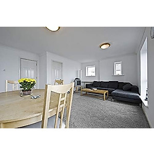 KOECKRITZ Rugs Soft & Cozy Indoor Area Rugs | Custom Cut & Made to Order