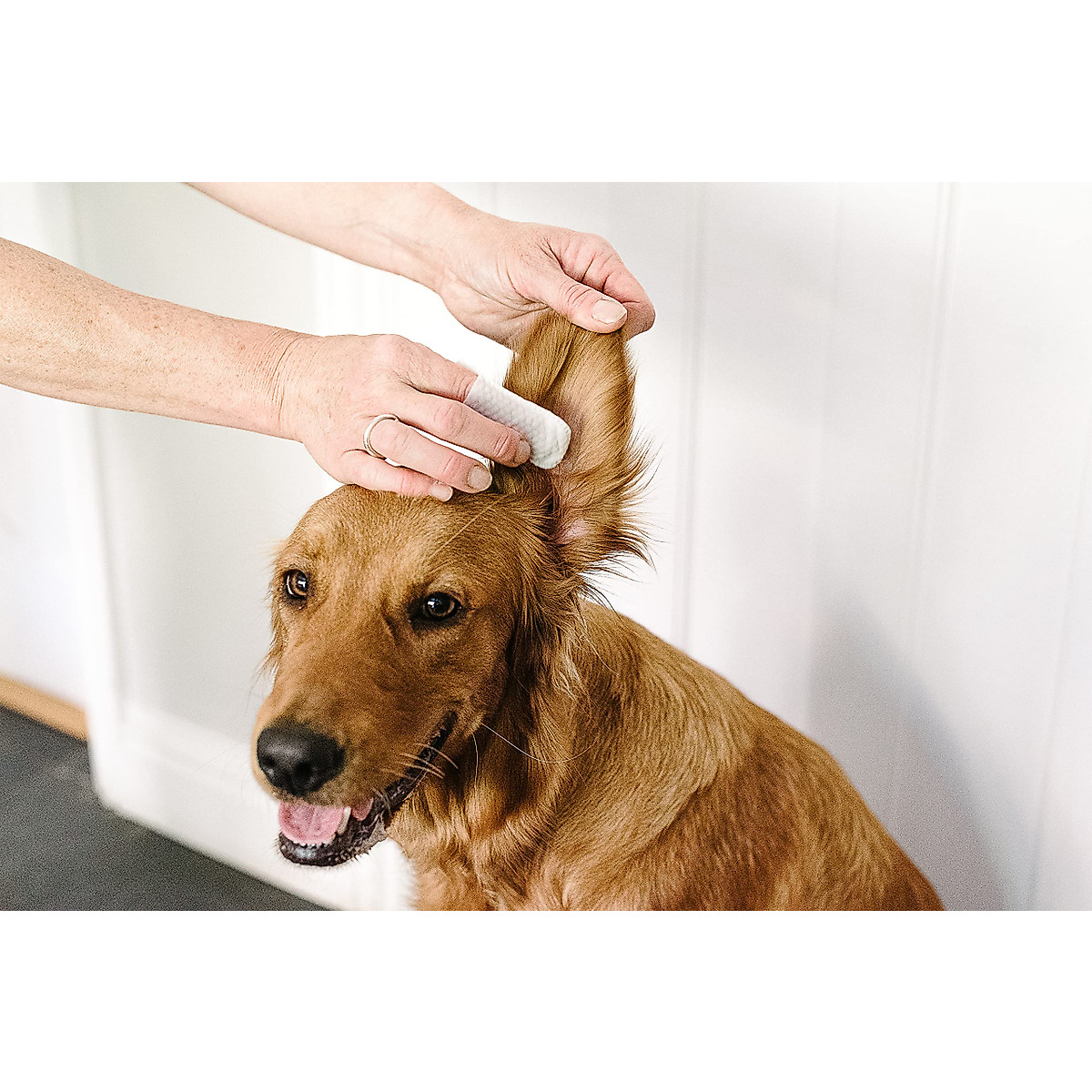 pet wiz Ear Wipes for Dogs & Cats. Clean, Soothe & Deodorise with Natural Active Ingredients Aloe Vera, Witch Hazel, Tea Tree Oil and Blue Chamomile Extract.