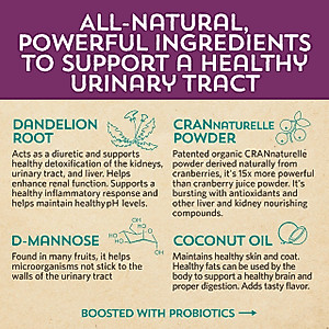 Meowbiotics Kitty P. Freely Cat Urinary Supplement, Cranberry for Cats, Cat UTI & Cat Kidney Support Powder Probiotics for Cats, Made in USA (30 Days)