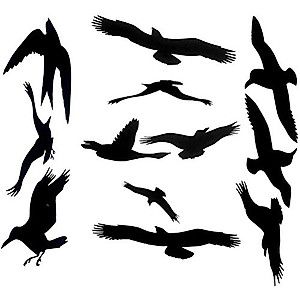 Anti-Collision Window Bird Stickers Glass Door Protection Save Birds Window Decals, 12 Pcs (Combinations)