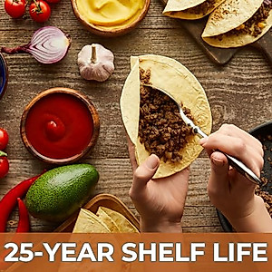 Nutristore Freeze Dried Ground Beef | Pre-Cooked Hamburger Meat for Backpacking, Camping, Meal Prep | Long Term Survival Emergency Food Supply | 25 Year Shelf Life | Bulk #10 Can | Made in USA