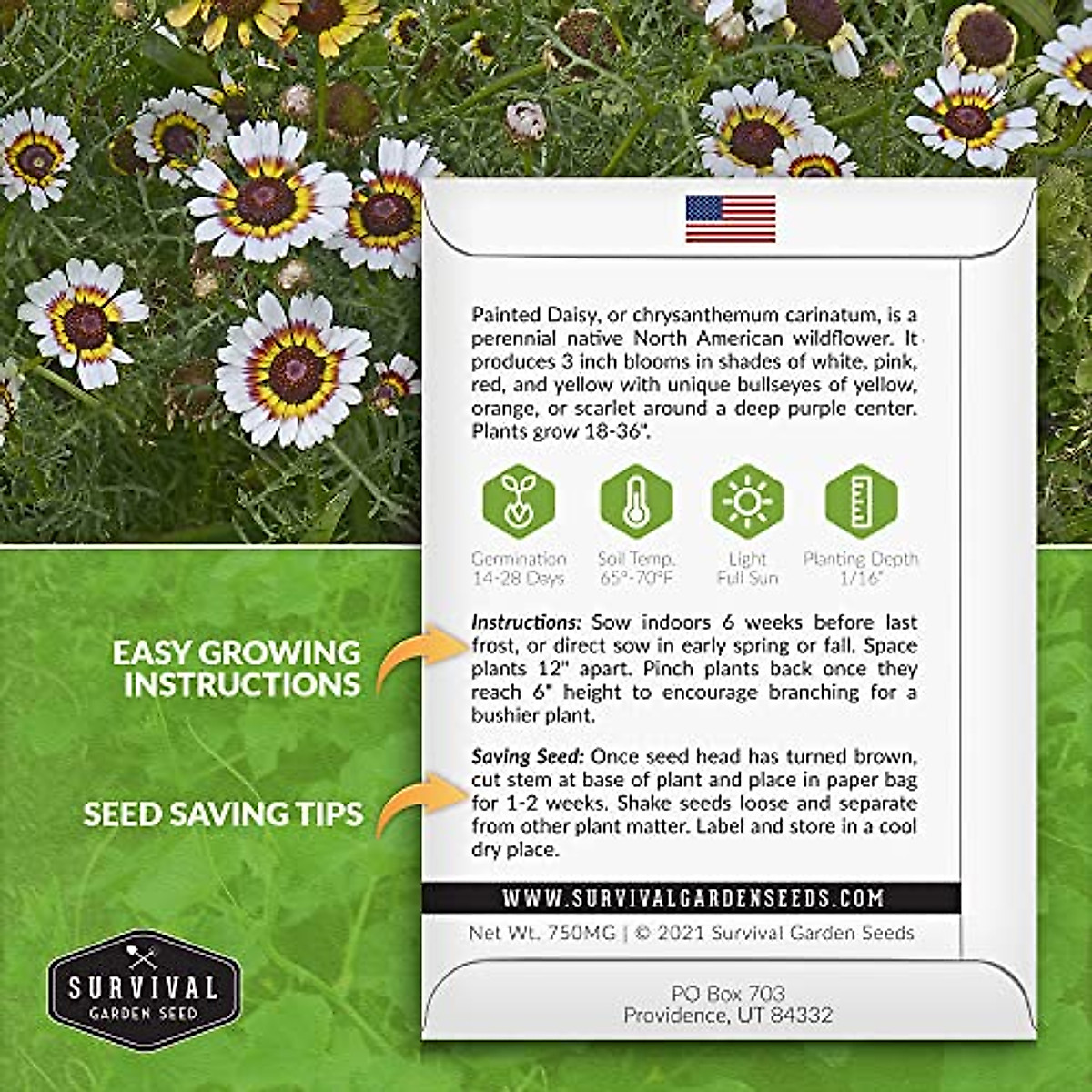 Survival Garden Seeds - Painted Daisy Seed for Planting - Packet with Instructions to Plant and Grow Colorful Perennial Wildflowers in Your Home Flower Garden - Non-GMO Heirloom Variety