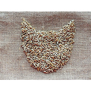 Crafted-Brand Simple Cat Grass Blend | 100% US Organic + 4 Popular Seeds | Wheat, Barley, Oats, and Rye Seed Mix Combo | Show Your Love with a Healthy Pet Treat and Snack (6 Ounce (~4800 Seeds))