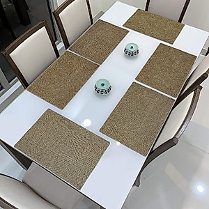 Bricker Washable Poly Jute Dining Table Mat (Brown) Set of 6