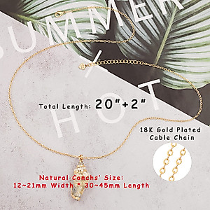 Aobei Pearl Natural Conch Necklace for Women Bohemian Seashell Pendant Necklace 18K Gold Chain Choker Adjustable Hawaii Beach Layering Jewelry 20”