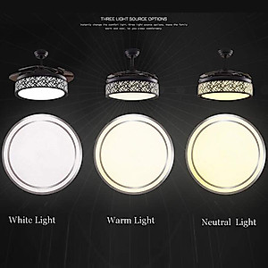 42 inch Black Cage Ceiling Fan with Lights, Ceiling Fan with Retractable Blades Three Color Change Chandelier with Remote Control, Dining Room/Living Room/Bedroom Lighting Decoration-36W