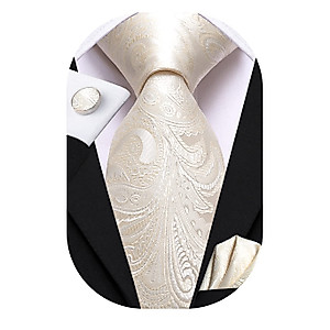 Hi-Tie Silk Ties for Men Plaid Paisley Striped Necktie Pocket Square Cufflinks Set Formal Business,Lvory