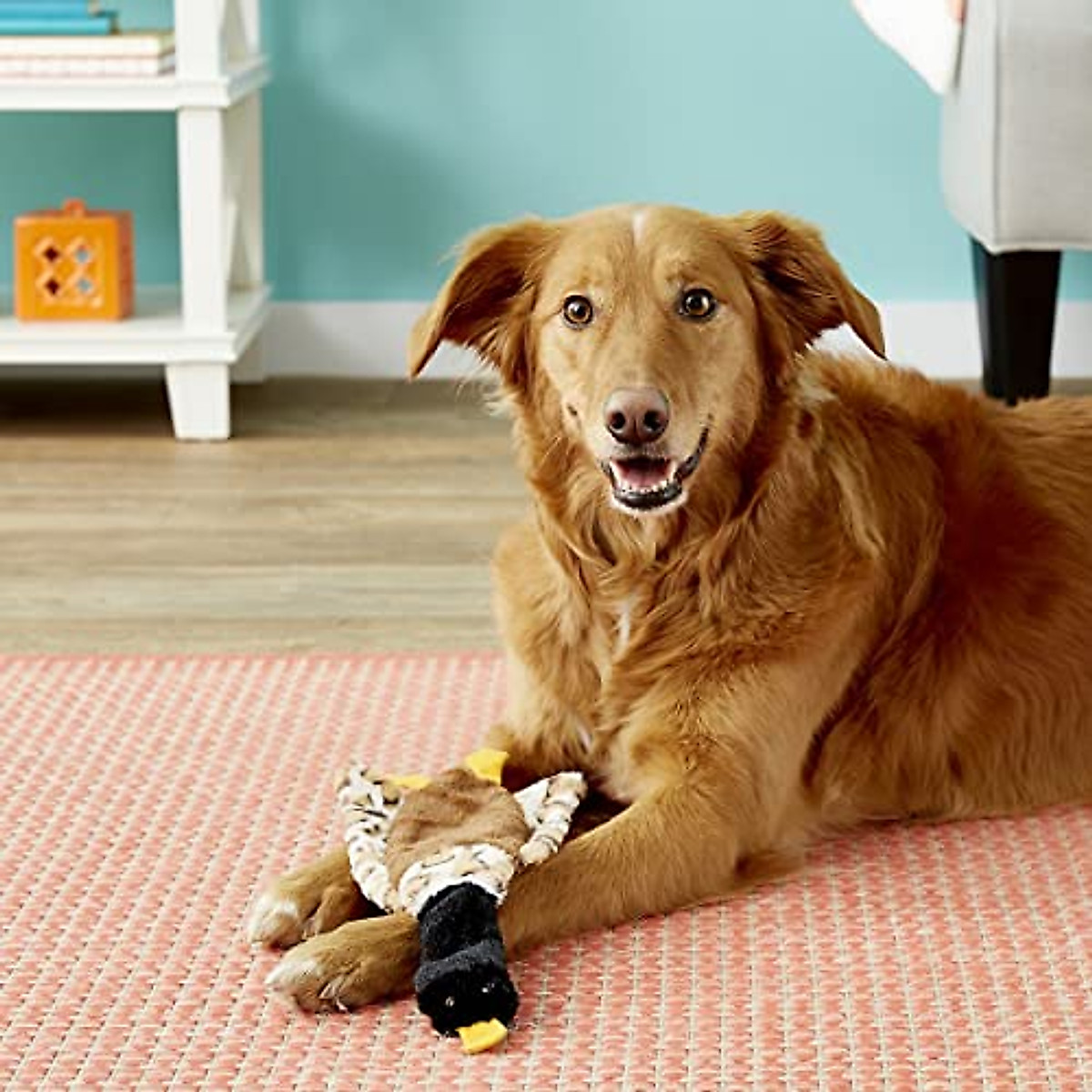 SPOT Skinneeez Stuffless Dog Toy with Squeaker | Plush Tug of War Goose Squeak Toy for Small and Large Dog Breeds | Small