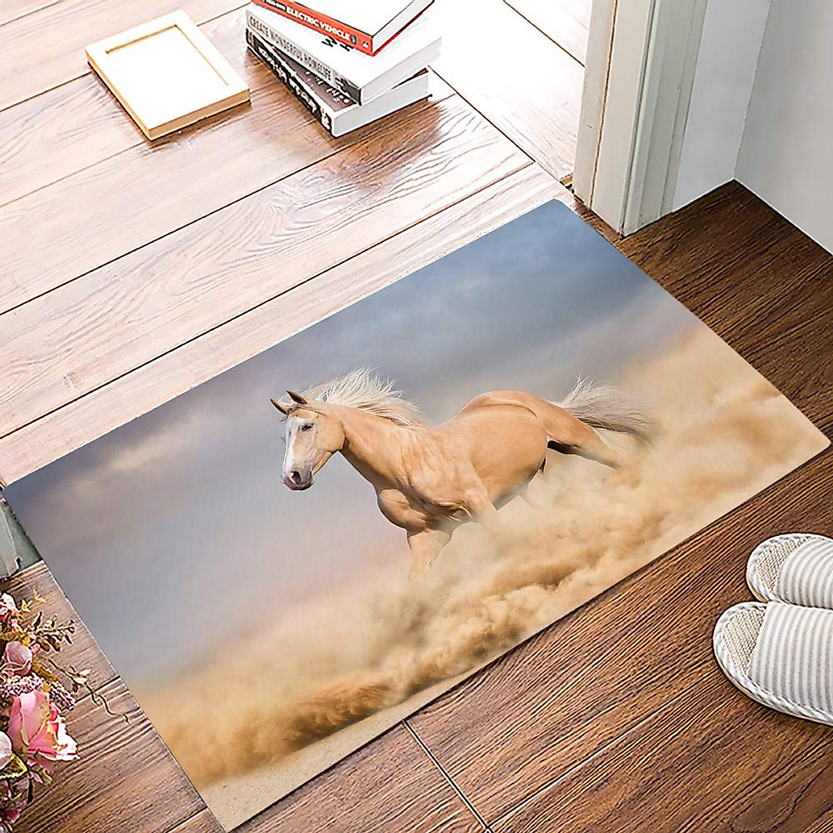 Fandim Fly Funny Indoor Doormat 20 x 31.5 Inches A Horse Running in The Desert Home and Office Decorative Entry Rug Garden/Kitchen/Bedroom Mat