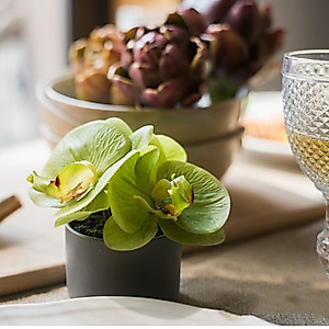 G Home Collection Rustic Mini Real Touch Potted Orchid in Green