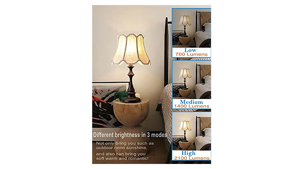 Upgrade Your Lighting with 6-Pack LED 3 Way Bulbs
