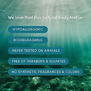 LATHER - Natural Sea Wool Sponge, 5-6" - Organic Exfoliating Body Scrubber - Soft, Gentle Cleansing - Hypoallergenic - All Skin Types - Florida Natural Loofah Sponge - Cruelty Free - Beauty & Skincare