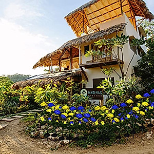 Outdoor Realistic Solar Powered Rose Flower Lights Stake,2 Pack 10 Rose Solar Garden Decorative Waterproof Lights for Backyard Patio Pathway Xmas Decoration-Blue