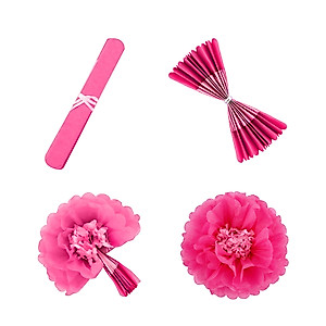 Fonder Mols Tissue Paper Flowers Pom Poms Blooms(Black & Hot Pink, 12pcs) for Bridal Shower Bachelorette Birthday Party Nursery Wall Decorations, Hot Pink and Black Party Decorations
