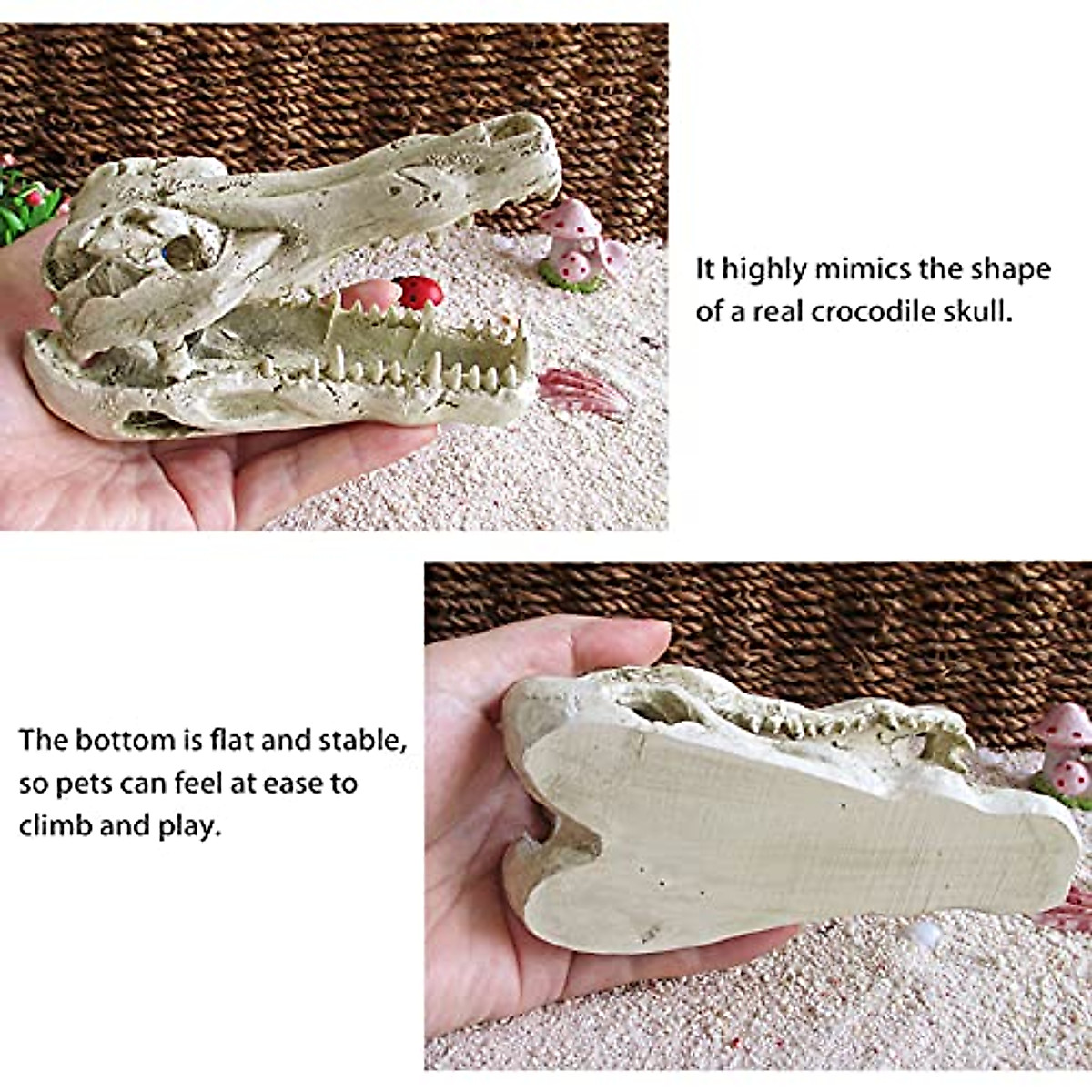 Tfwadmx Bearded Dragon Tank Accessories Reptiles Crocodile Skull Decorations Resin Human Skulls Hideouts Cave Habitat Decor for Chameleon,Snake,Spider,Gecko and Fish