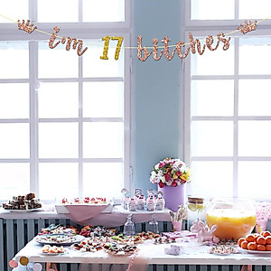 I'm 17 Bitches Banner, 17th Birthday Party Decor, Funny Seventeen Years Old Birthday Banner, Girl's 17th Birthday Party Decorations (Rose Gold)