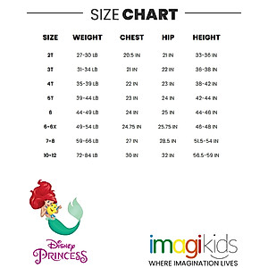 Disney Princess Ariel Toddler Girls French Terry Dress Princess Ariel Pink 5T